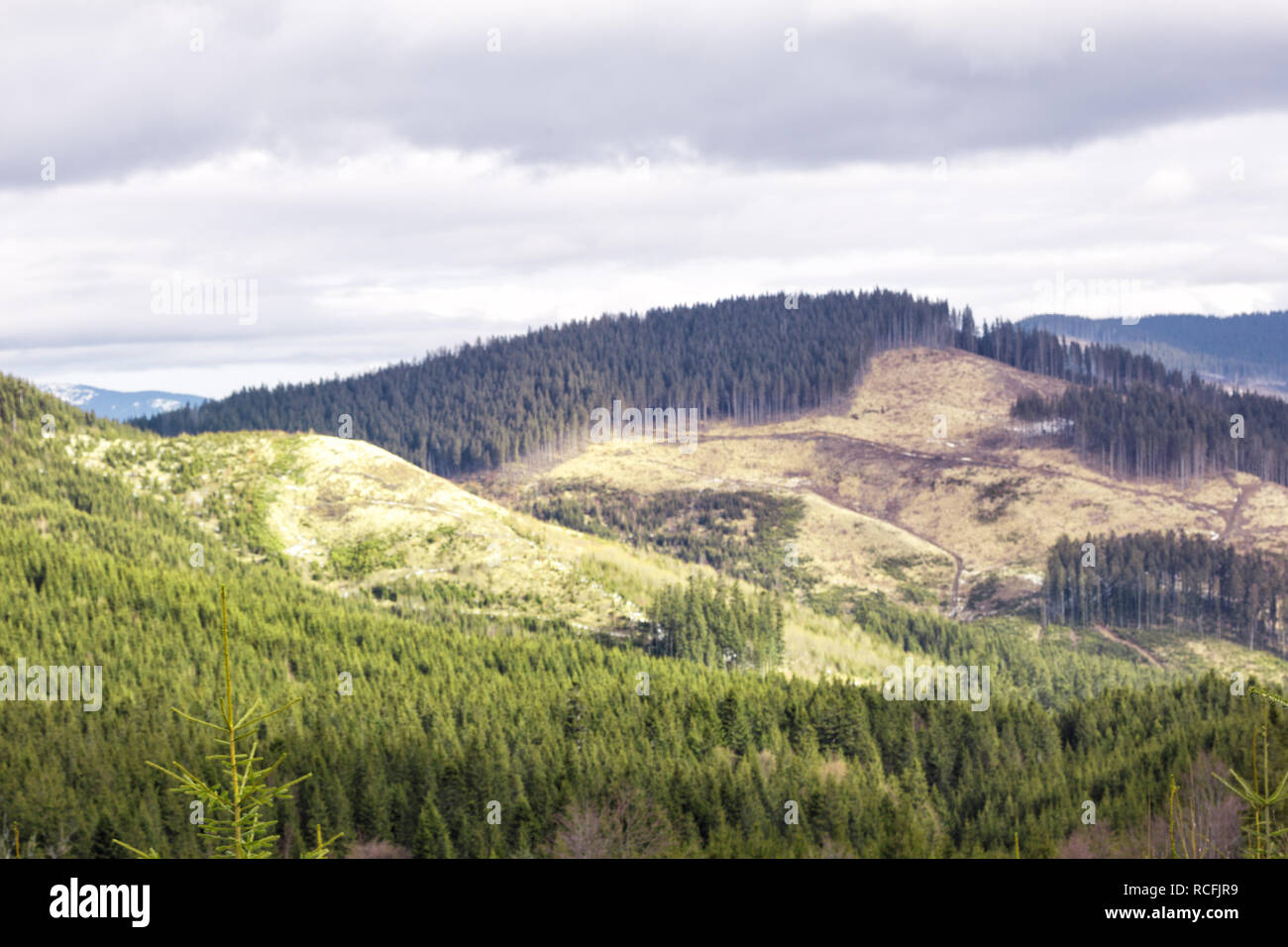 Mountain peaks with felled forest Stock Photo - Alamy