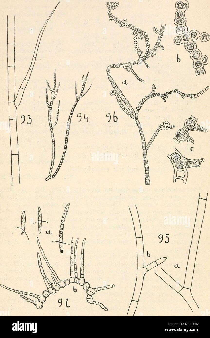 . Die süsswasser-flora Deutschlands, Österreichs und der Schwez ...