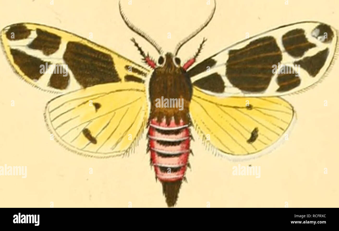 Johann georg iii hi-res stock photography and images - Alamy