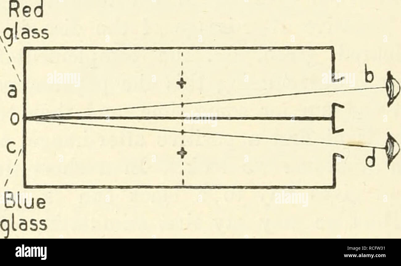 Simultaneous contrast hi-res stock photography and images - Alamy