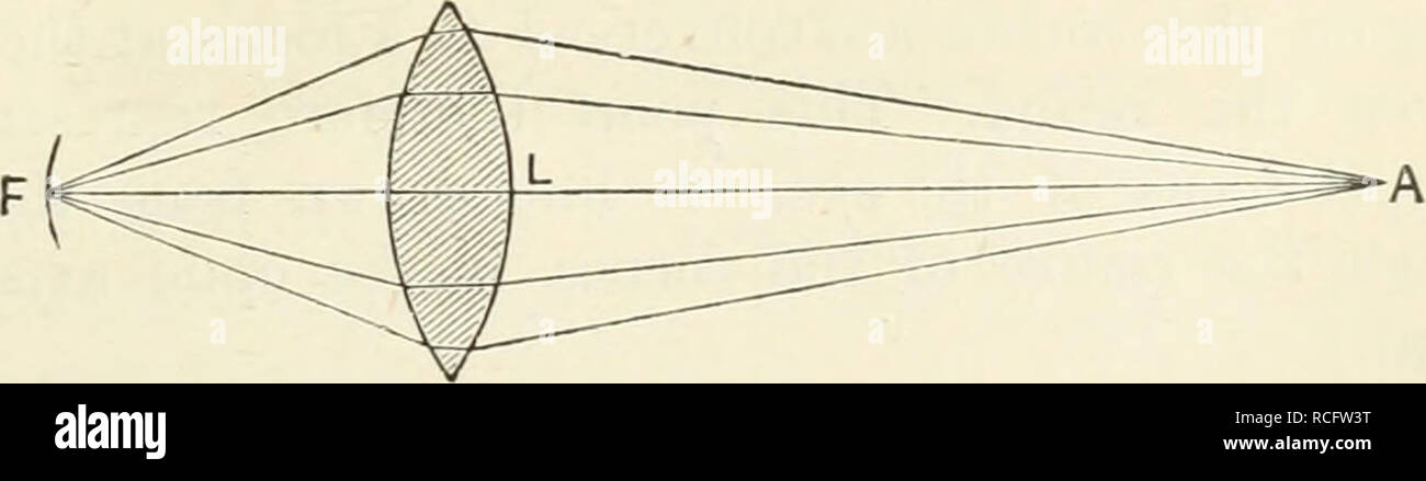 . Elements of human physiology. Physiology. Diagram of the course of ...