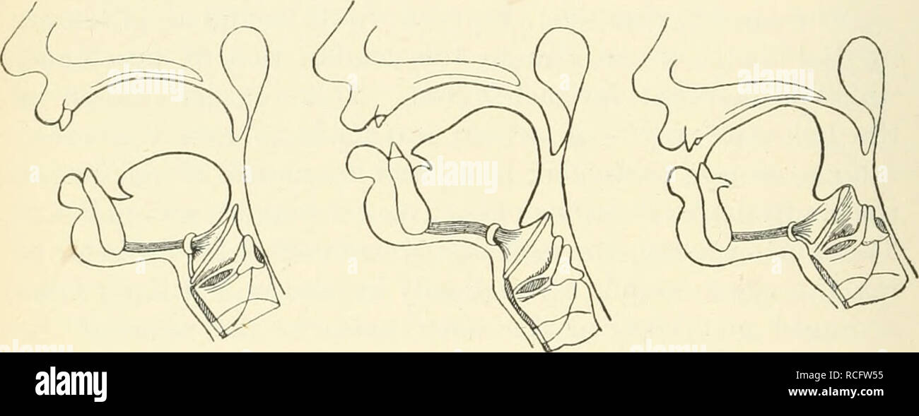 Vowel sounds mouth hi-res stock photography and images - Alamy