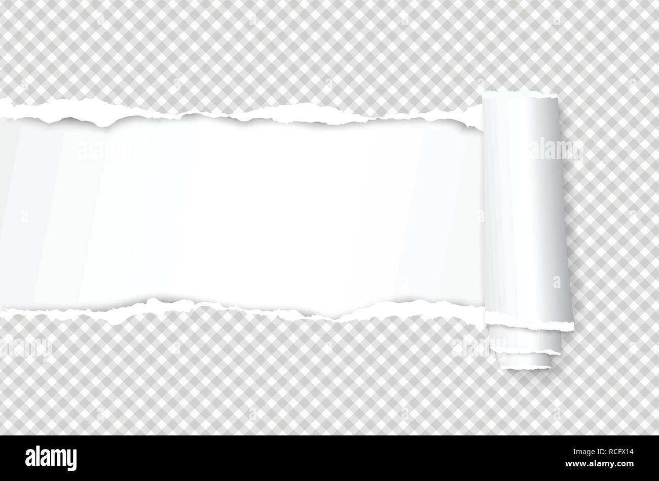 Rolled and ripped squared white notebook paper sheet for text. Vector ...