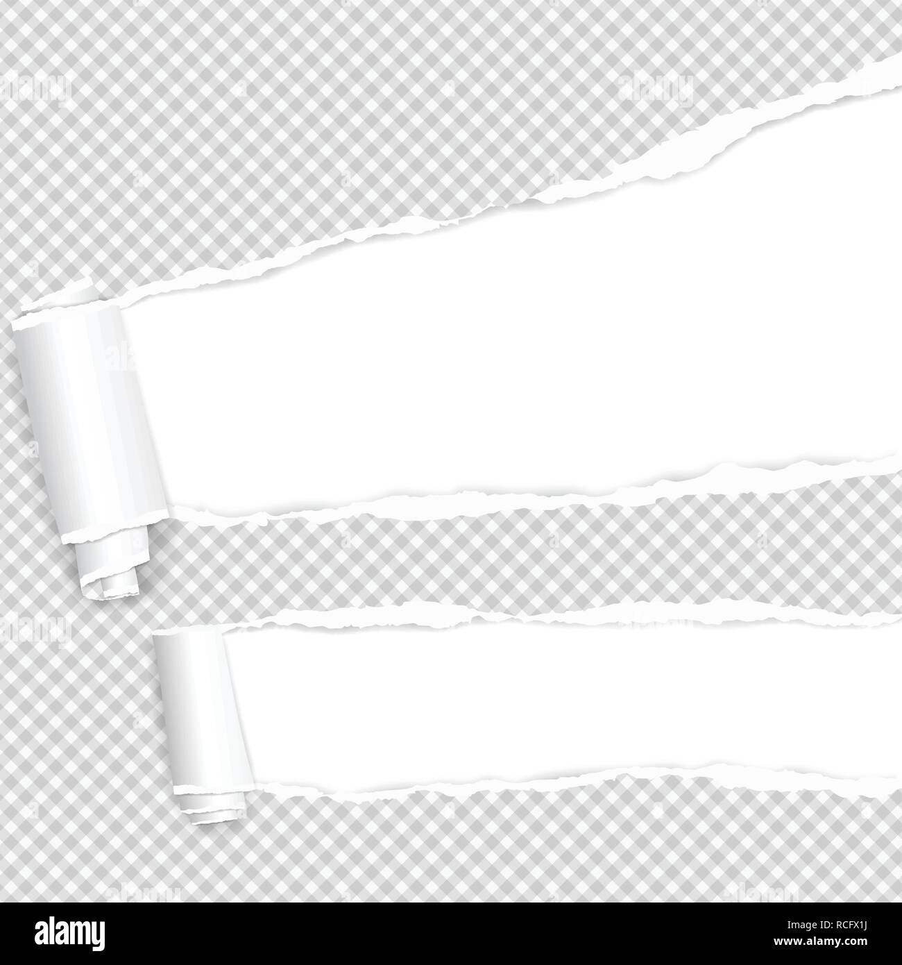 Rolled and ripped squared white notebook paper sheet for text. Vector ...