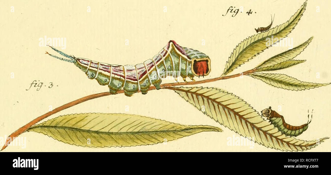 Johann georg iii hi-res stock photography and images - Alamy