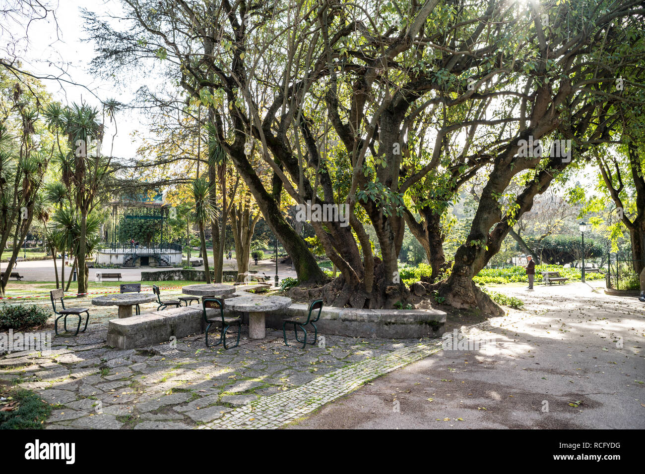 View estrela garden in hi-res stock photography and images - Alamy