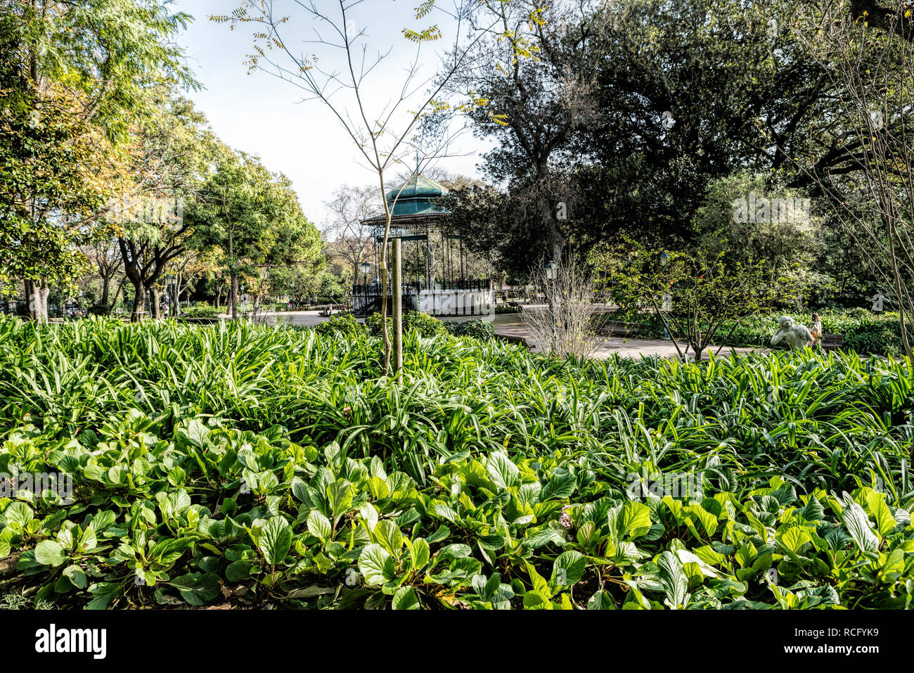 View estrela garden in hi-res stock photography and images - Alamy