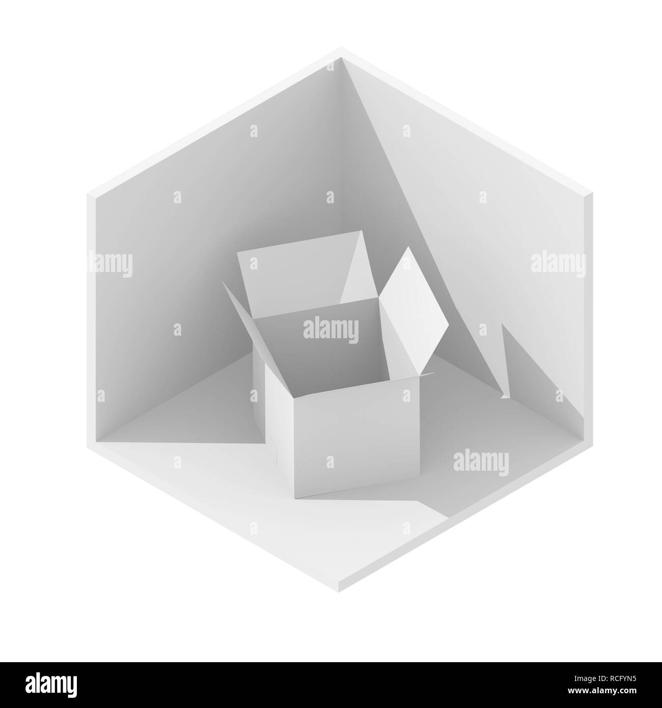3d isometric rendering illustration of open empty cardboard box in ...
