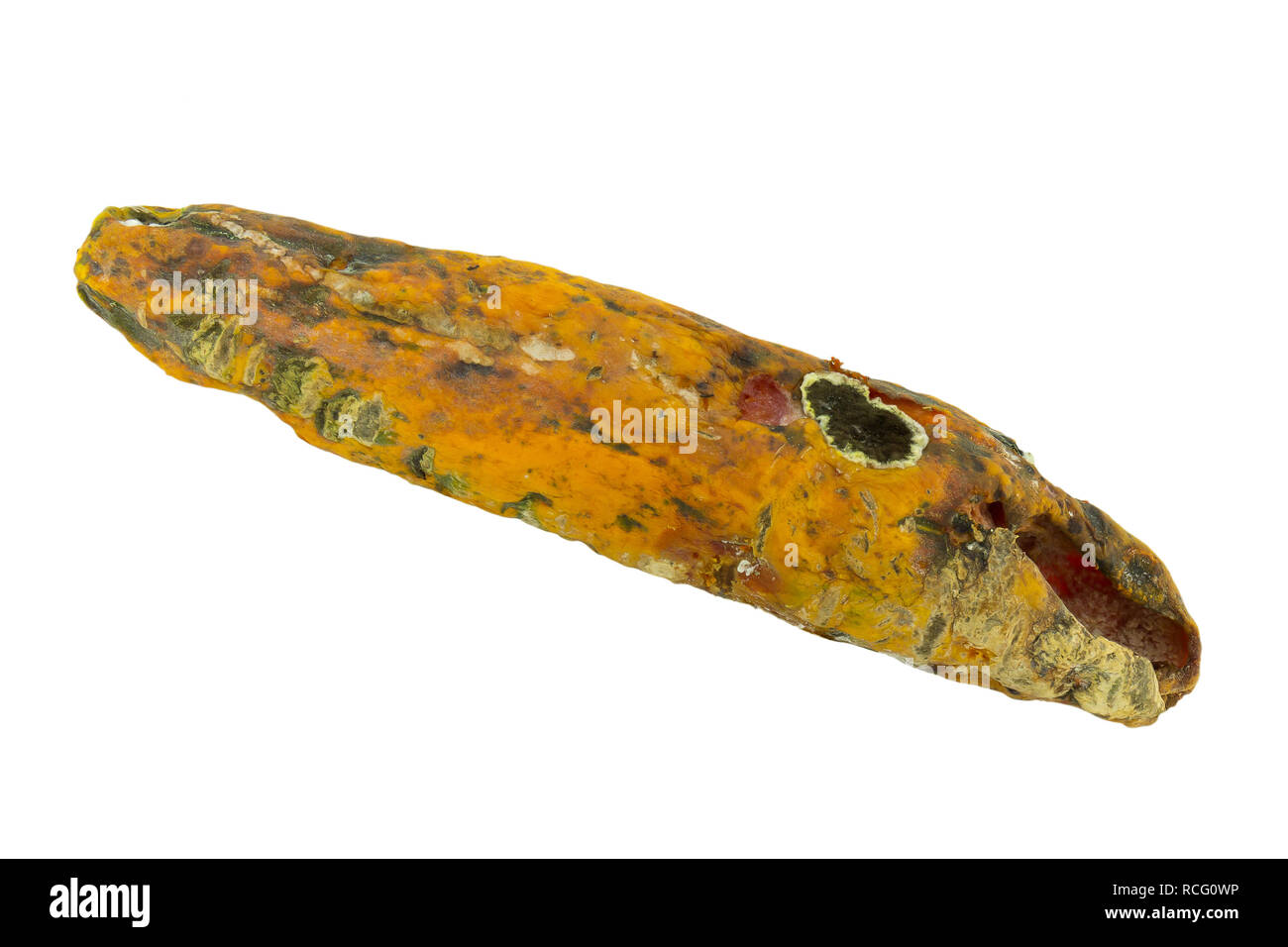 rotten papaya on white isolate background Stock Photo - Alamy