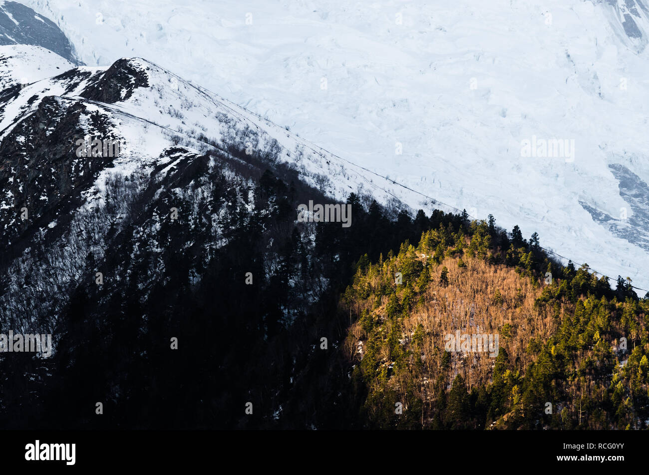 Treeline hi-res stock photography and images - Alamy