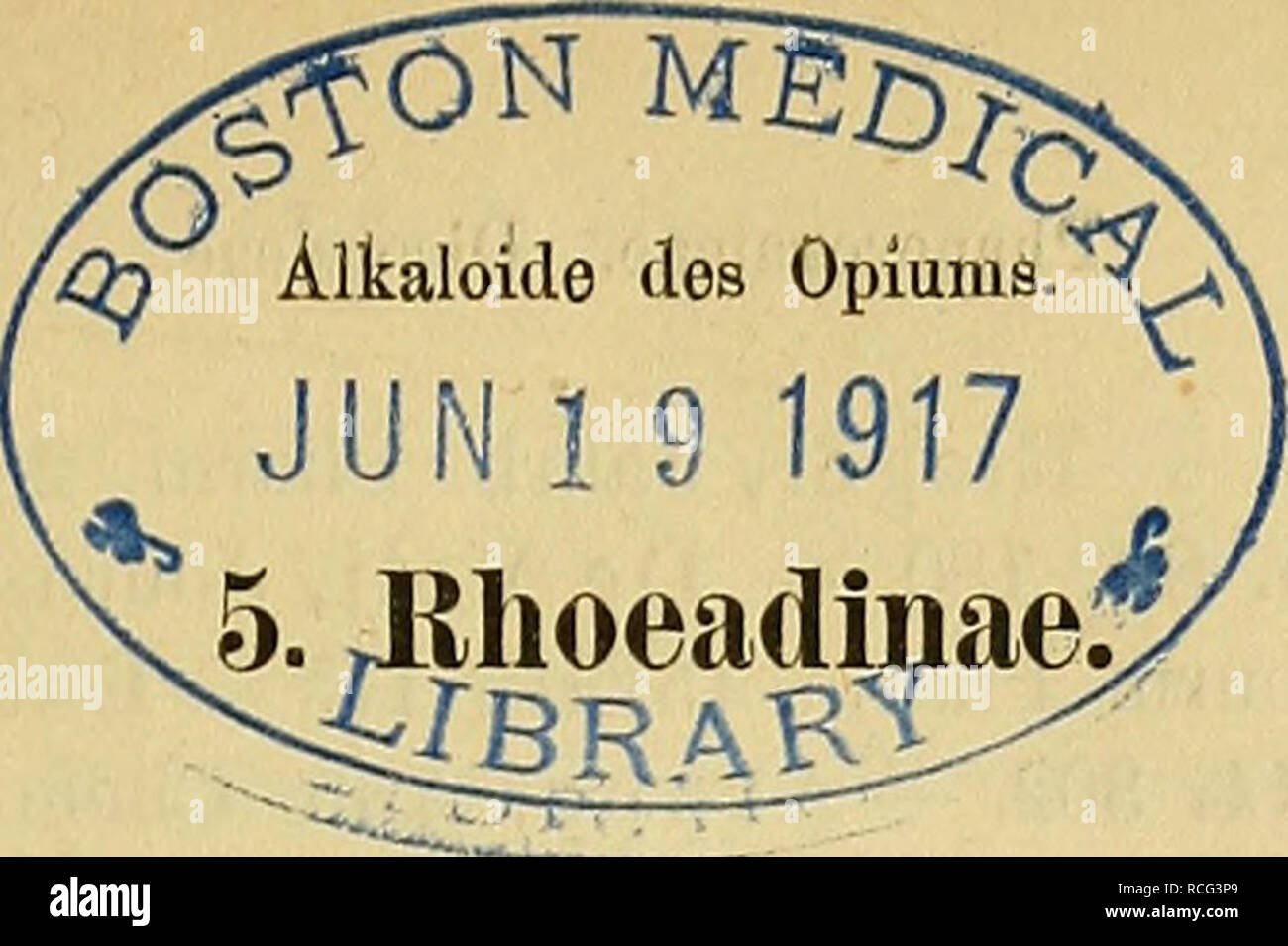 Protopin hi-res stock photography and images - Alamy