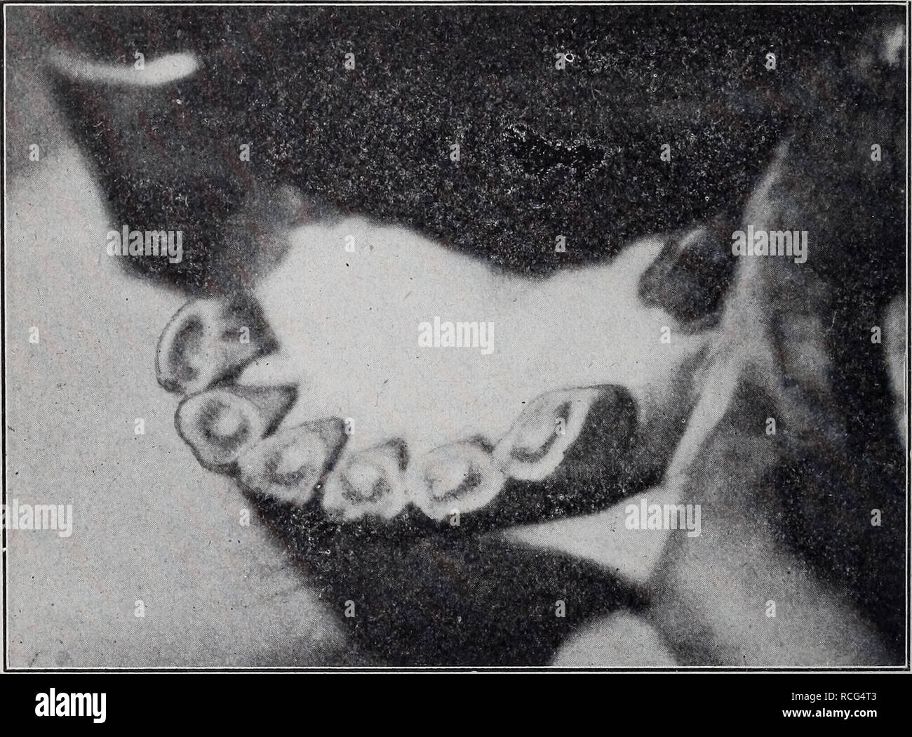 Tartar faces hi-res stock photography and images - Alamy