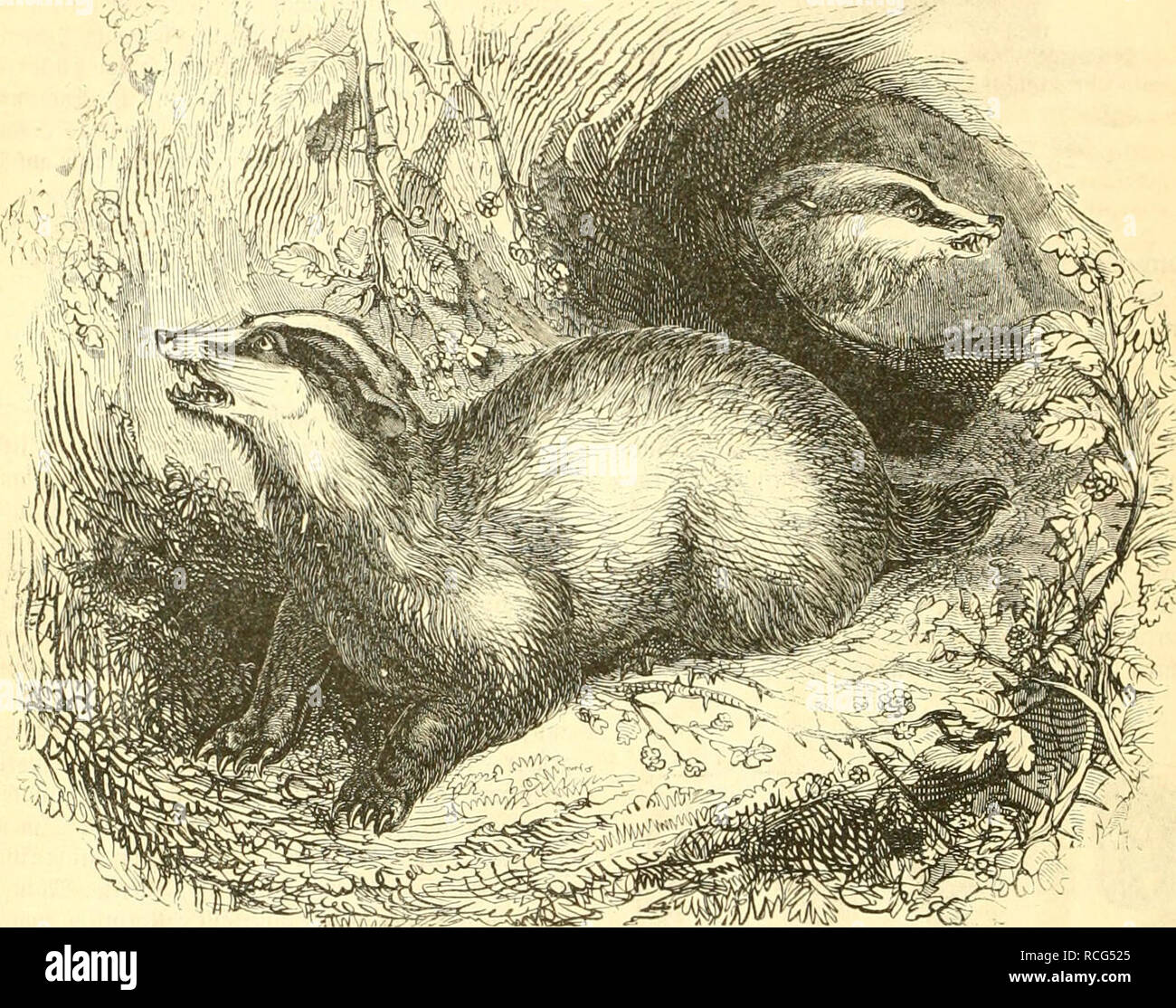 Sa tath hi-res stock photography and images - Alamy