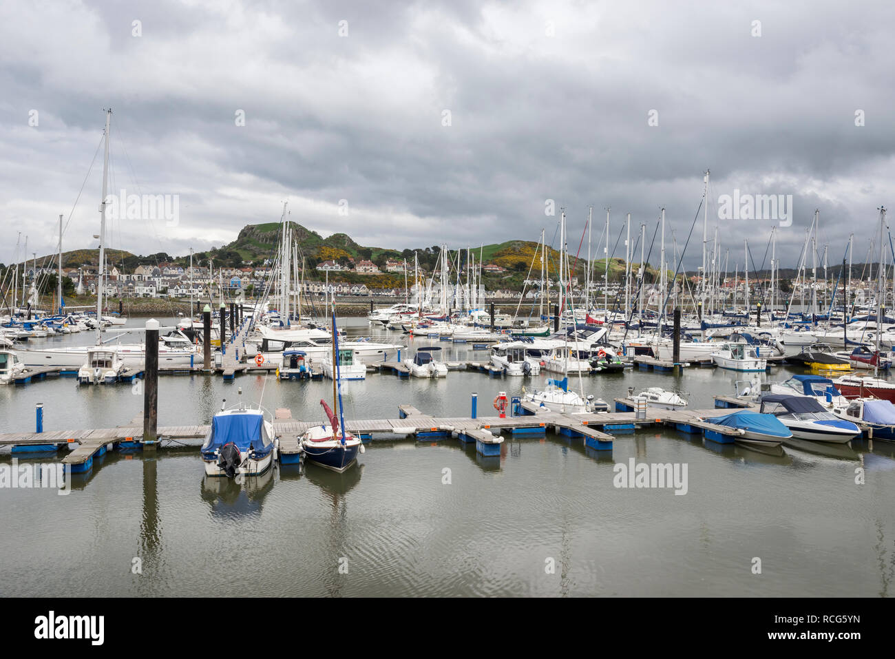 Conwy marina on the coast of North Wales Stock Photo - Alamy