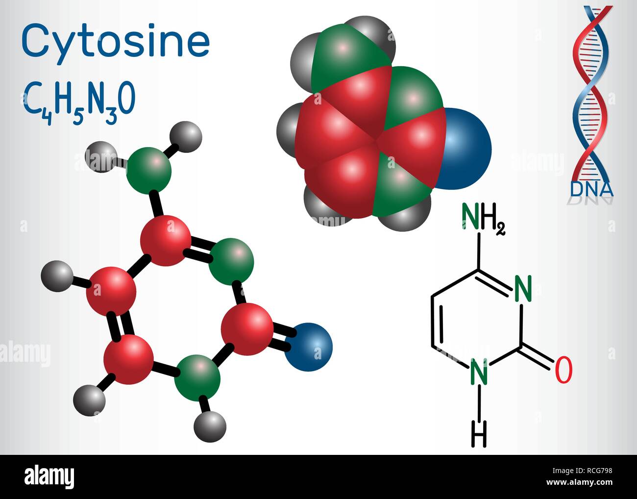 Cytosine (C) - pyrimidine nucleobase, fundamental unit of the genetic ...