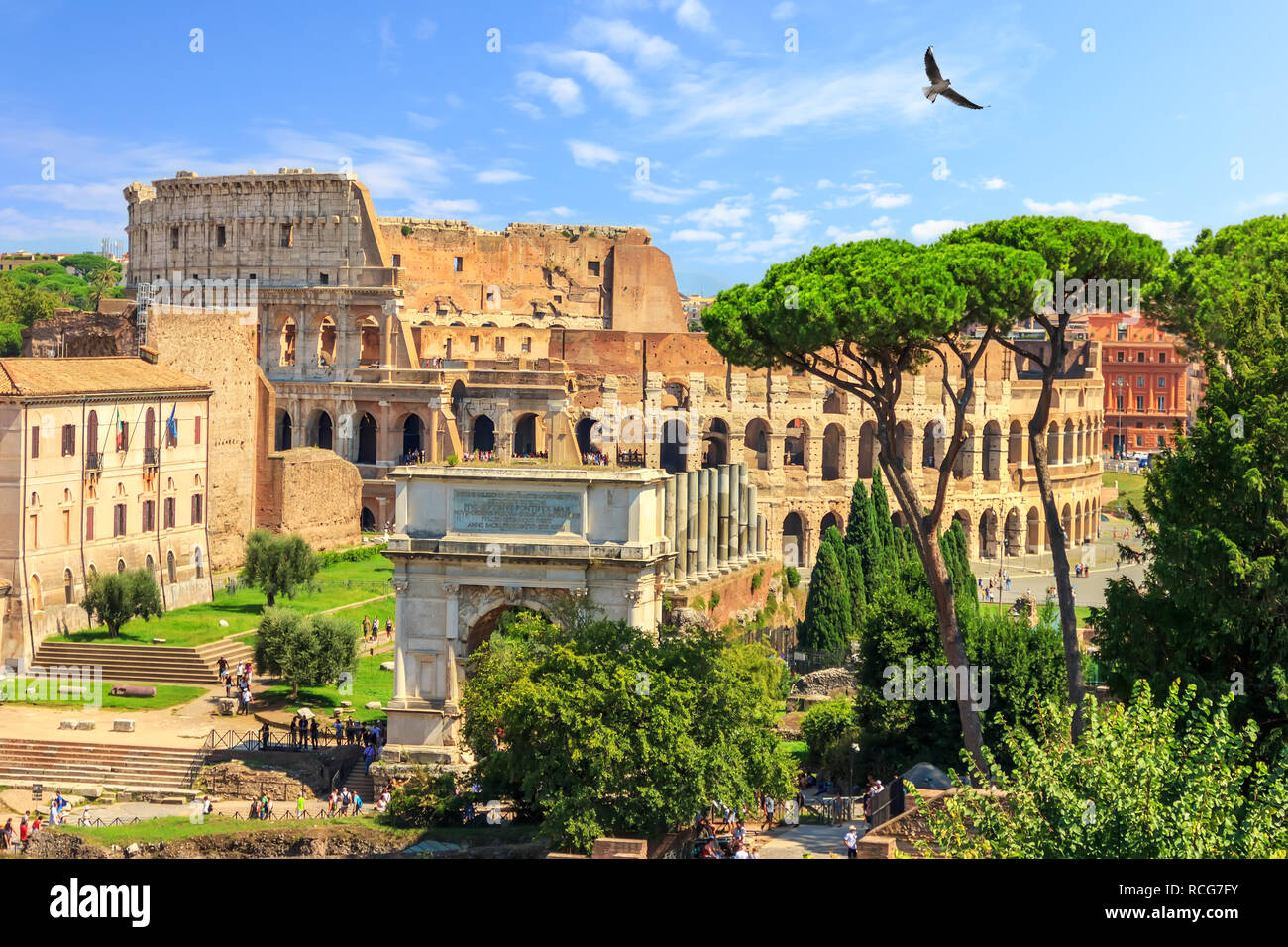 Roman Coliseum and the Arch of Titus summer view, no people Stock Photo ...