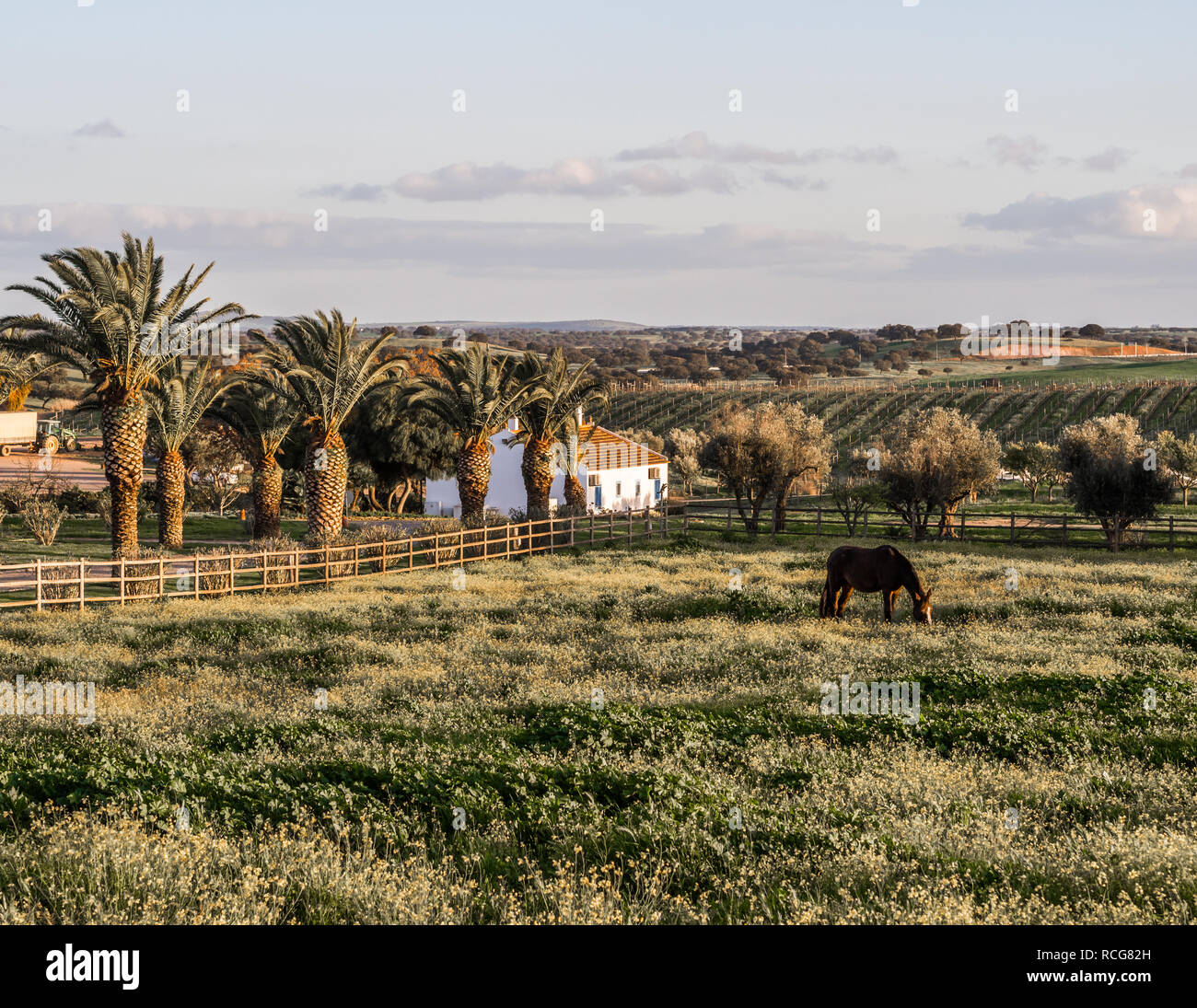 Rural landscape in alentejo hi-res stock photography and images - Alamy