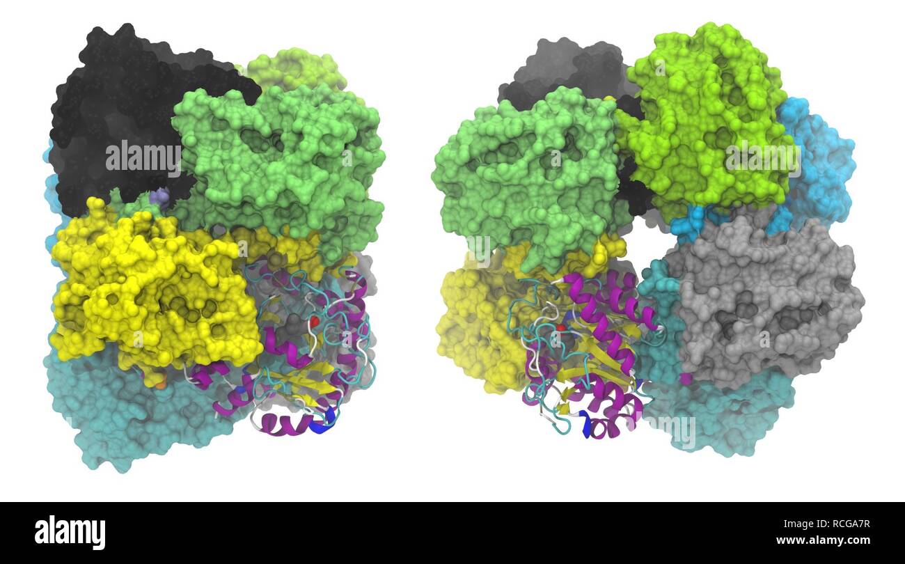 Alad hi-res stock photography and images - Alamy