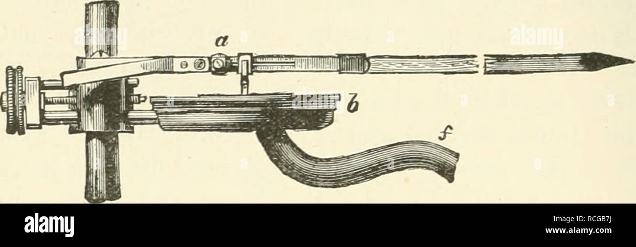 . Elements of human physiology. Physiology. 216 PHYSIOLOGY writing ...