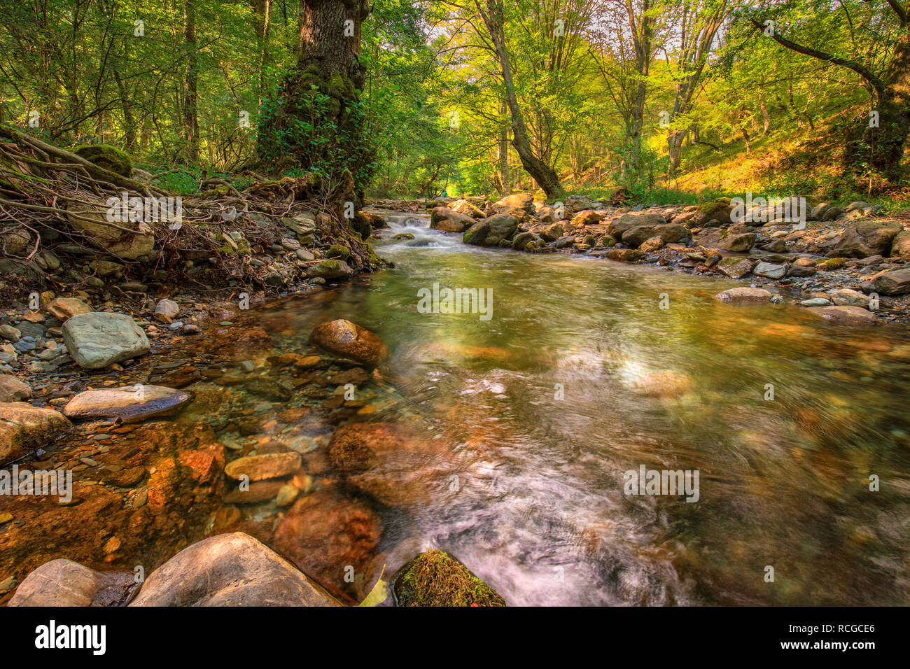 Beautiful autumn landscape with mountain river and colorful trees Stock ...