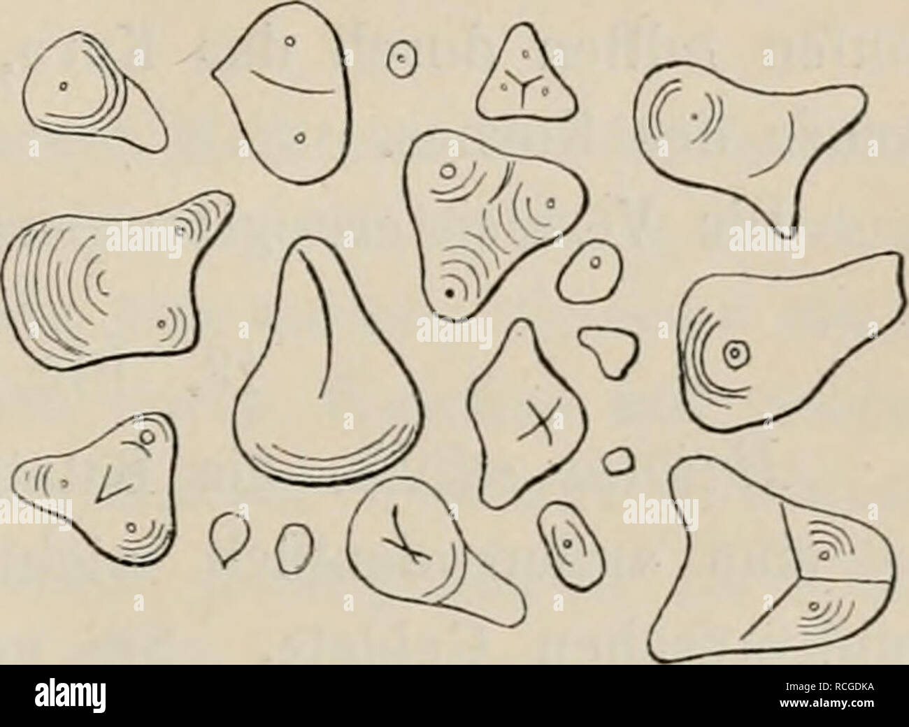 Rohmaterial hi-res stock photography and images - Alamy