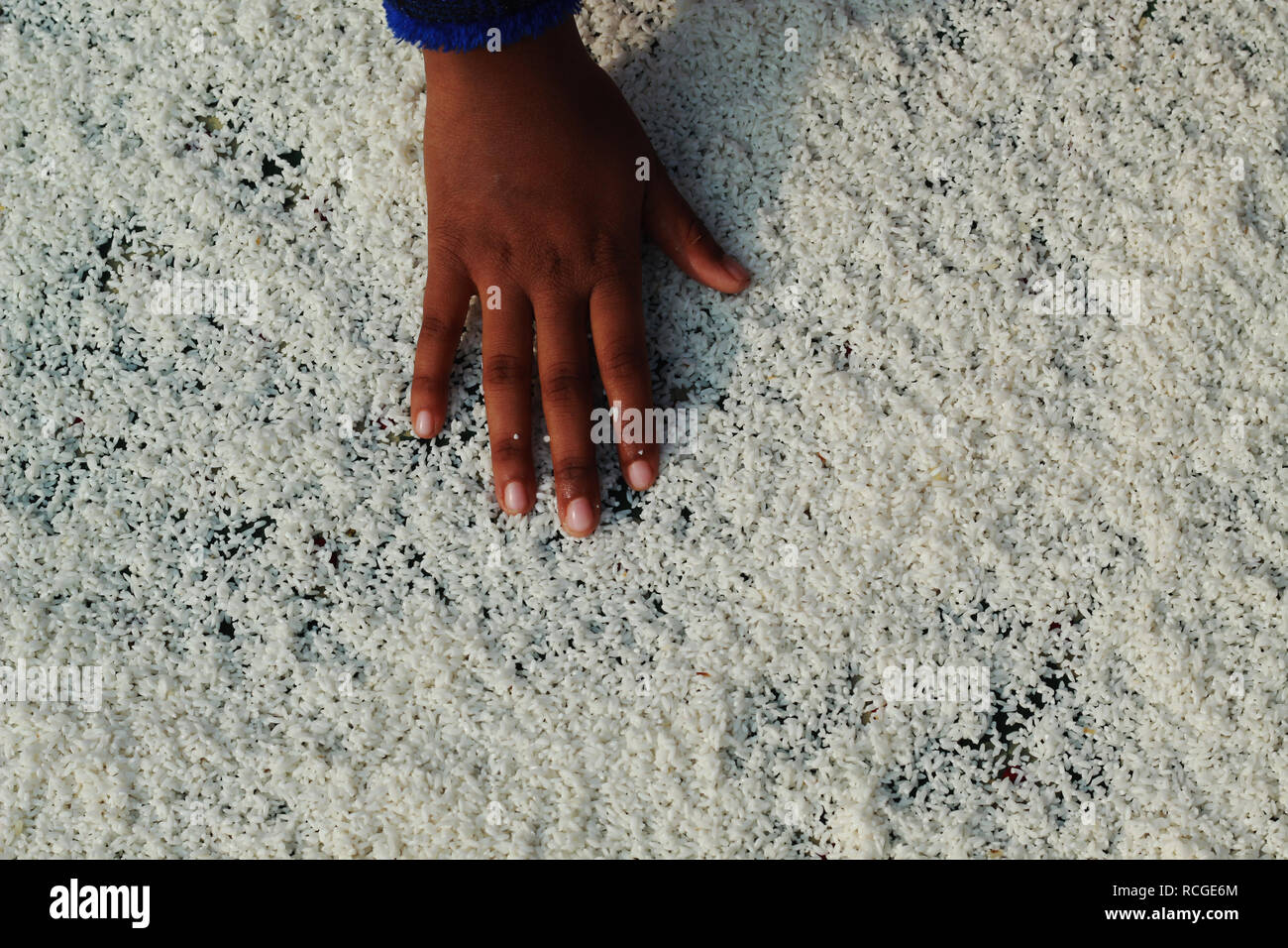 sunned rice and hand in a floor Stock Photo - Alamy