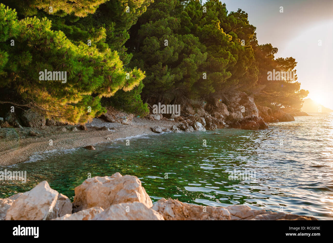 Tree rocks beach hi-res stock photography and images - Alamy