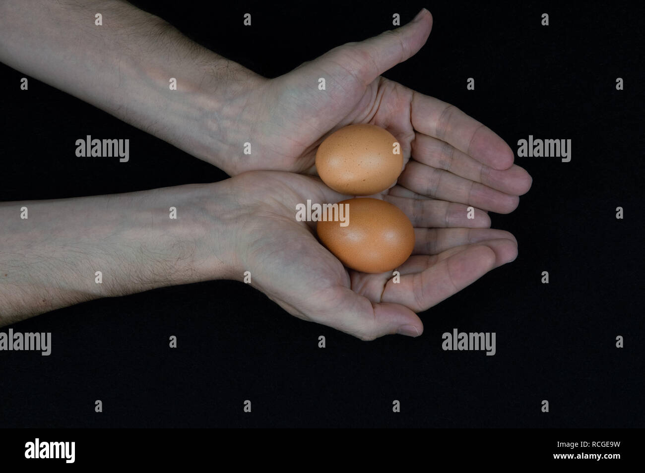 Man holding two brown eggs in his hands on a black felt background ...