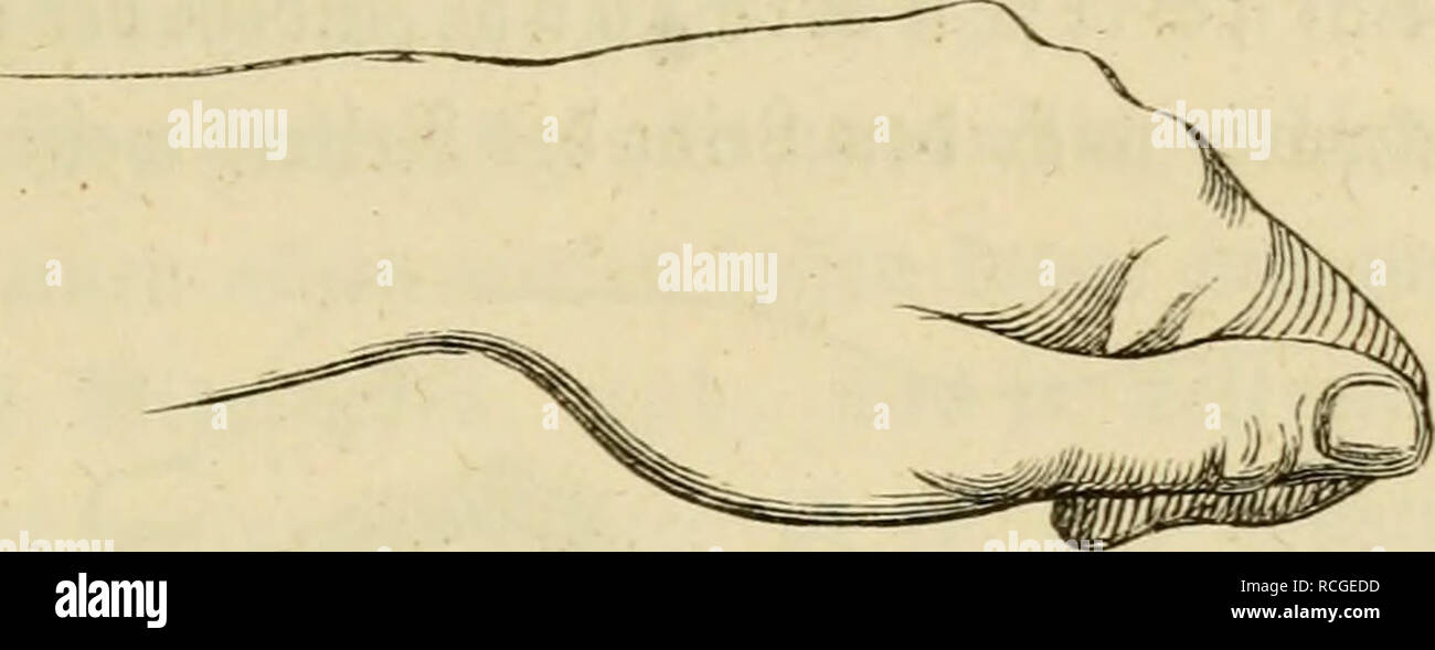 Daumen nac hi-res stock photography and images - Alamy