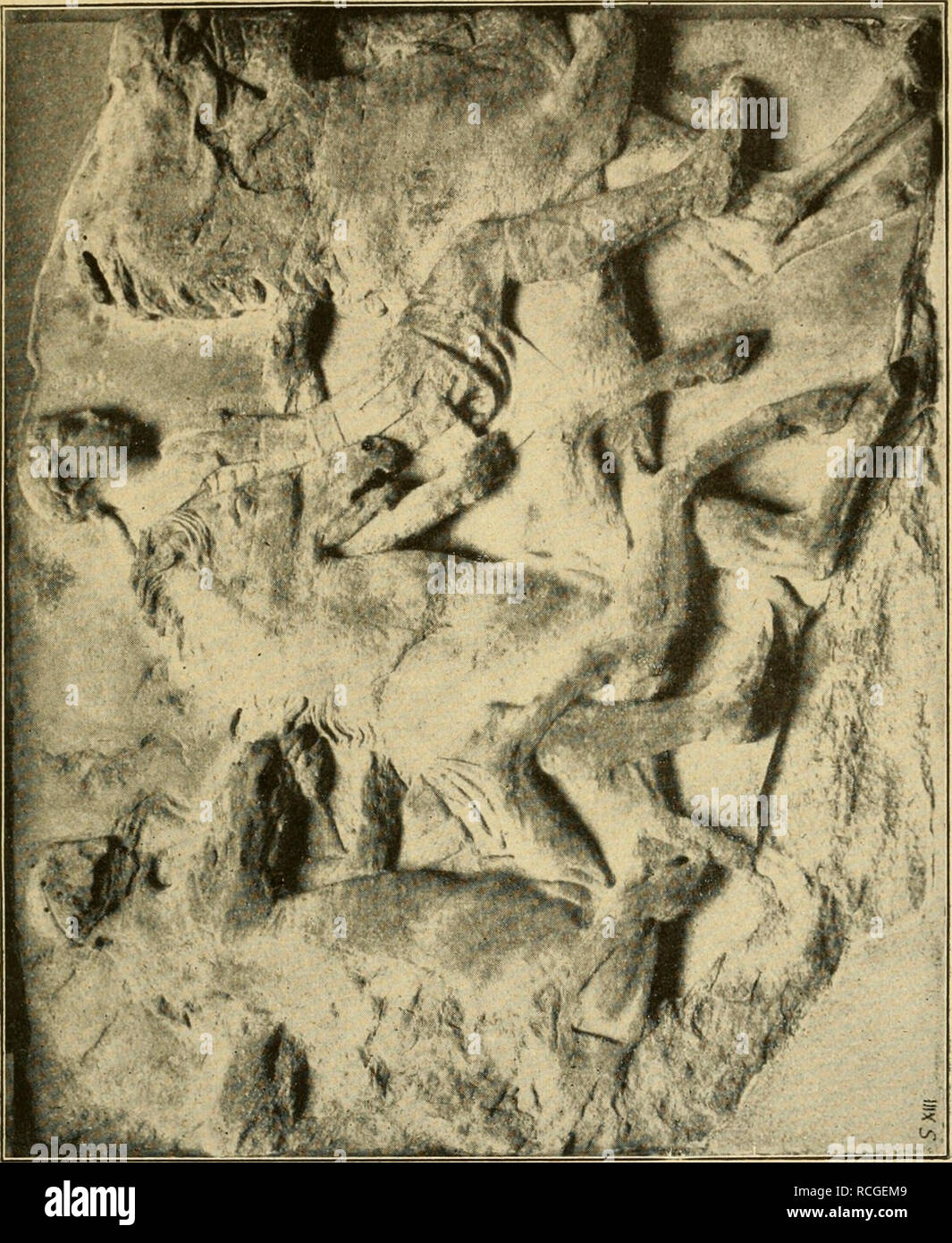 Original de phidias hi-res stock photography and images - Alamy