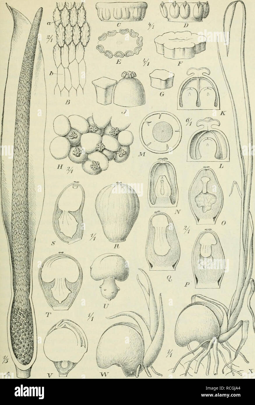 Fruchtbare gebiete hi-res stock photography and images - Alamy