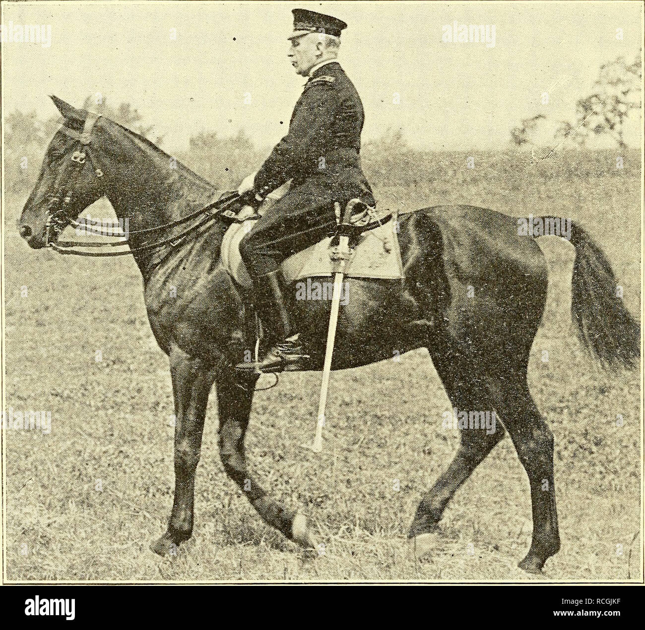 Extended canter hi-res stock photography and images - Alamy