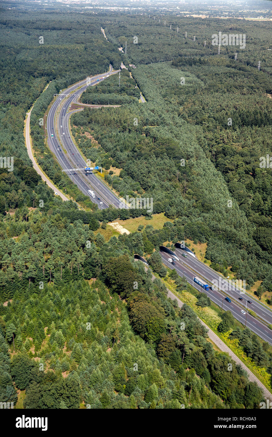 The Netherlands, Kootwijk. Motorway and eco crossover for fauna ...