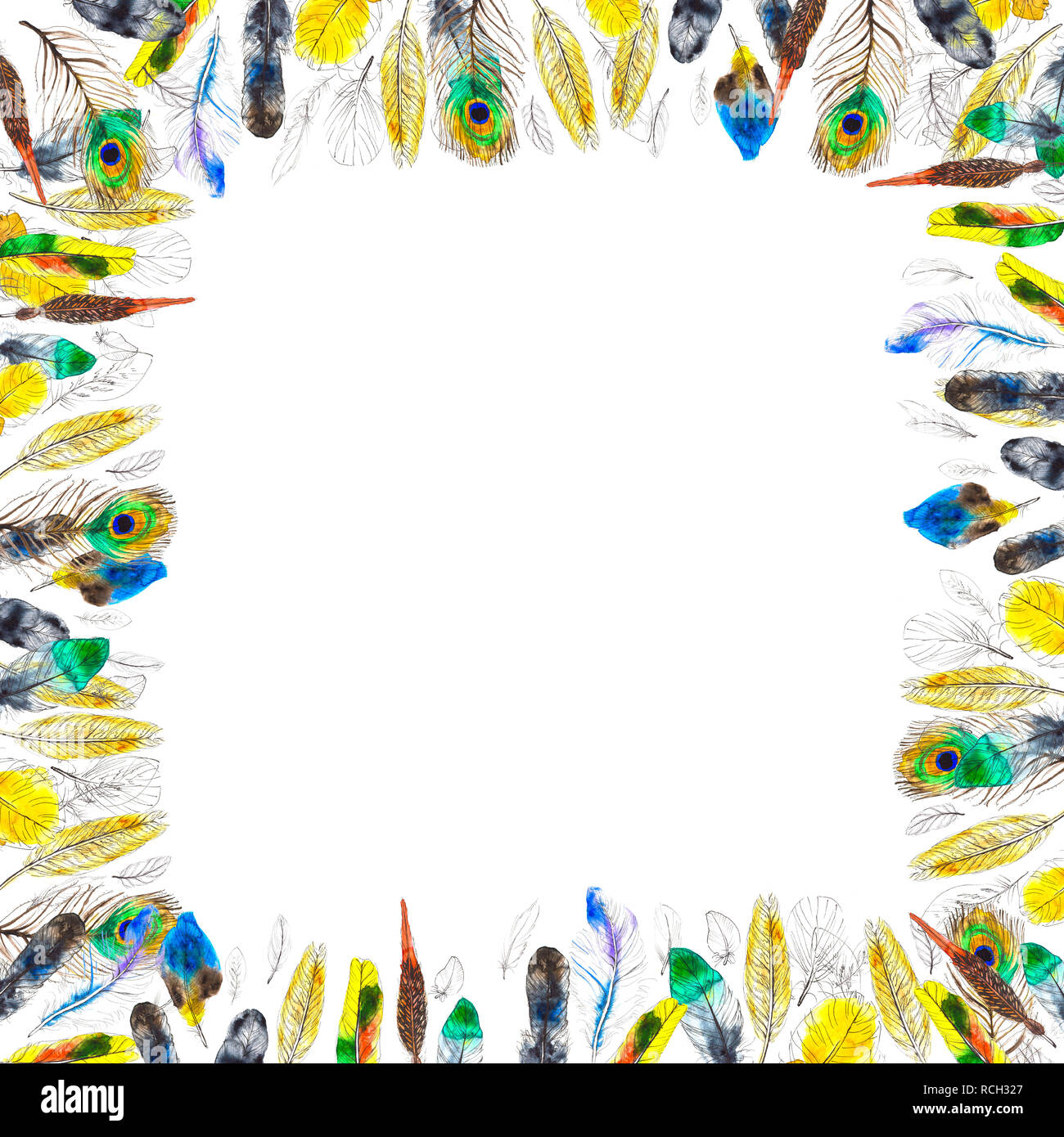 Watercolor frame with colorful feathers on white background Stock Photo ...