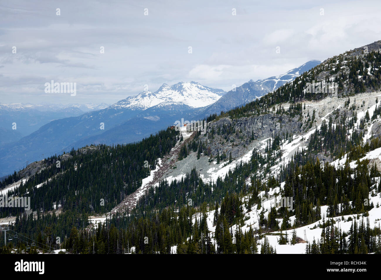Whistler, Canada, Mountains, Trees, Trails, Snow, Peak to Peak, Tourist ...