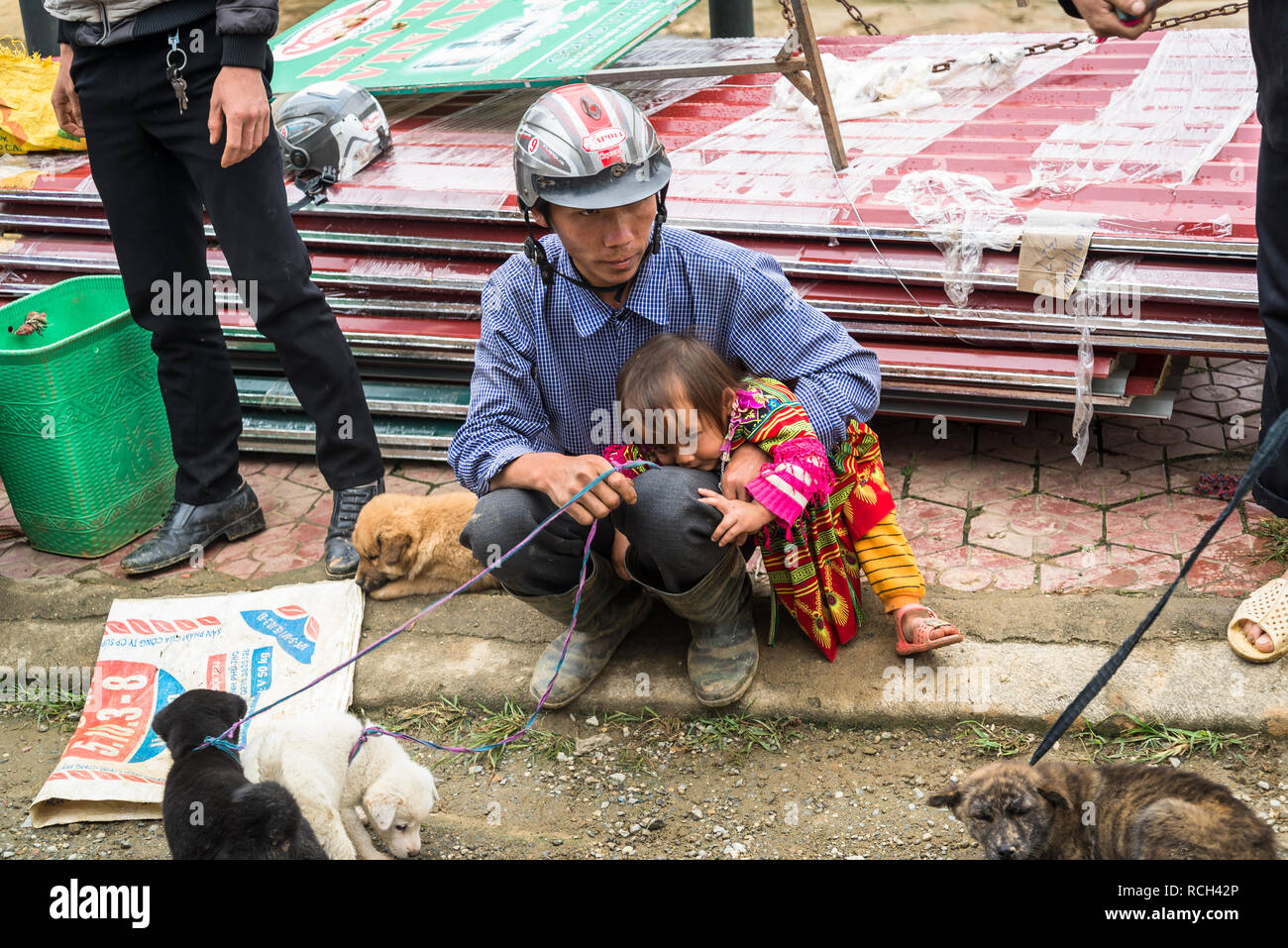 Selling dogs at Colourful Bac Ha Sunday Market in the Flower Hmong ...