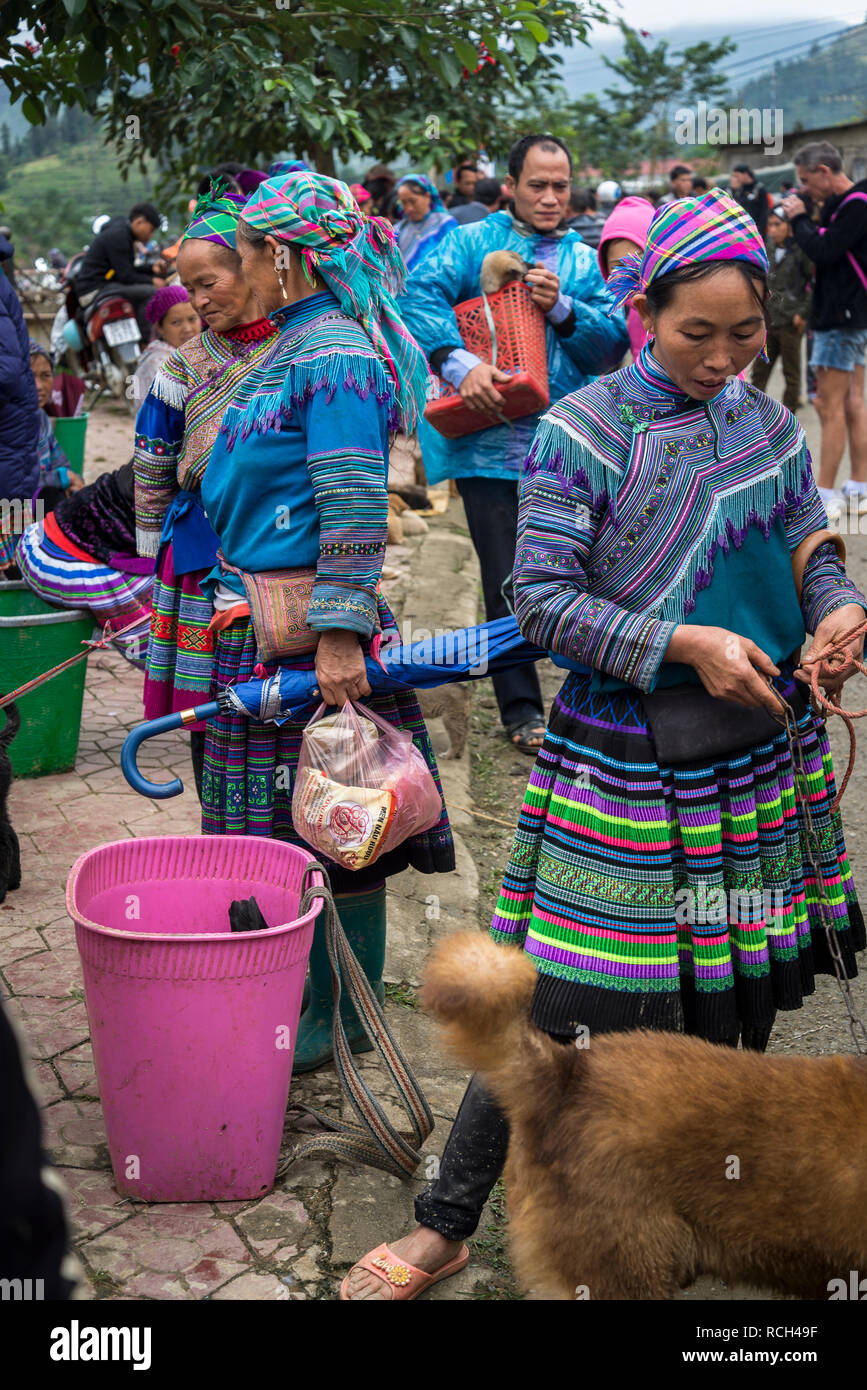 Old hmong women in north hi-res stock photography and images - Alamy