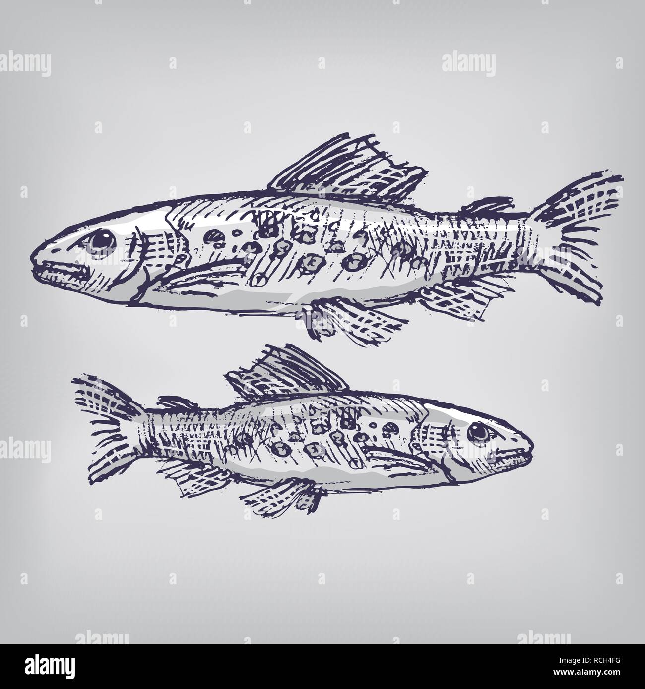 Cold water fishing Stock Vector Images - Alamy