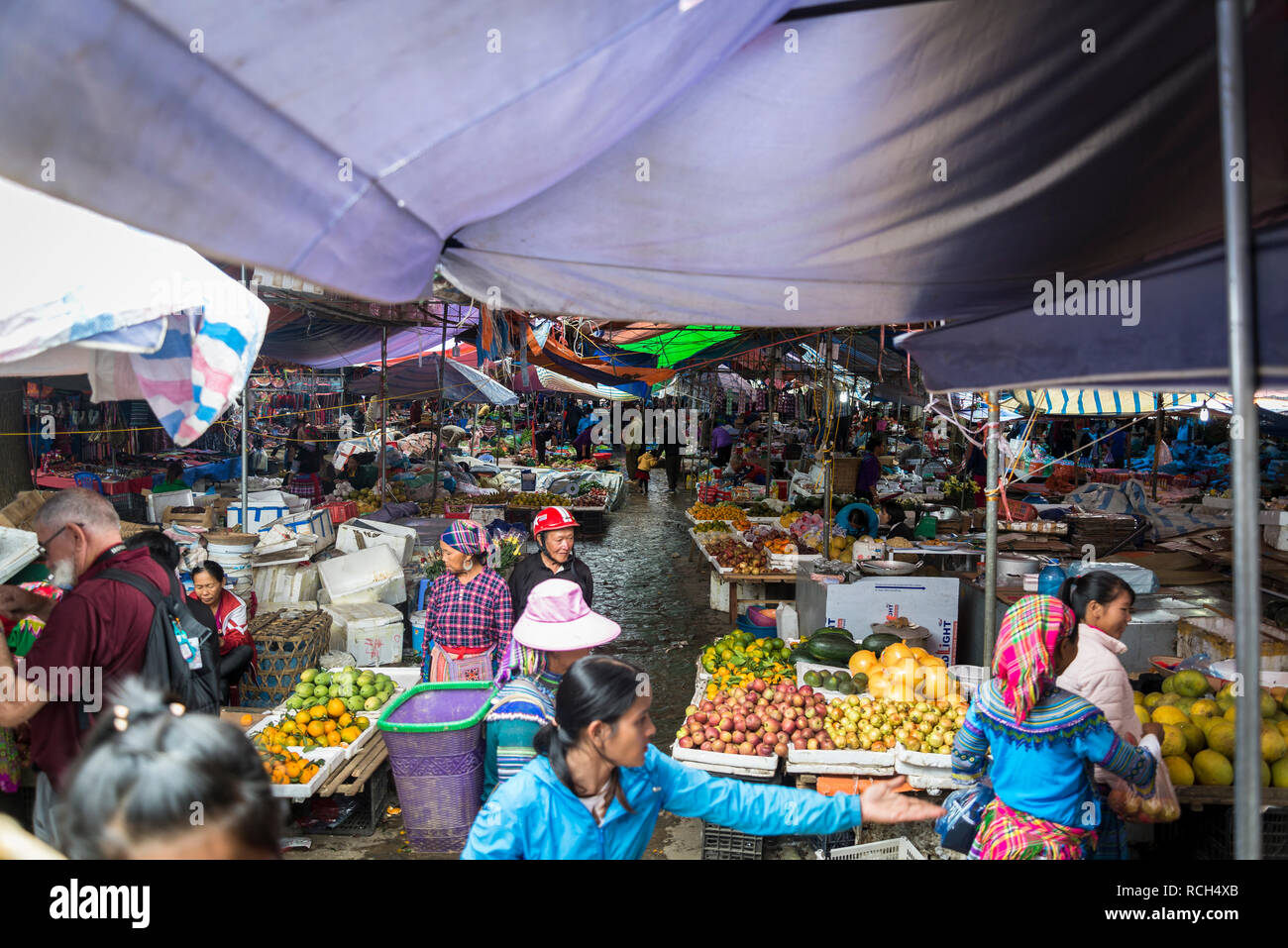 Vegetable market at Colourful Bac Ha Sunday Market in the Flower Hmong ...