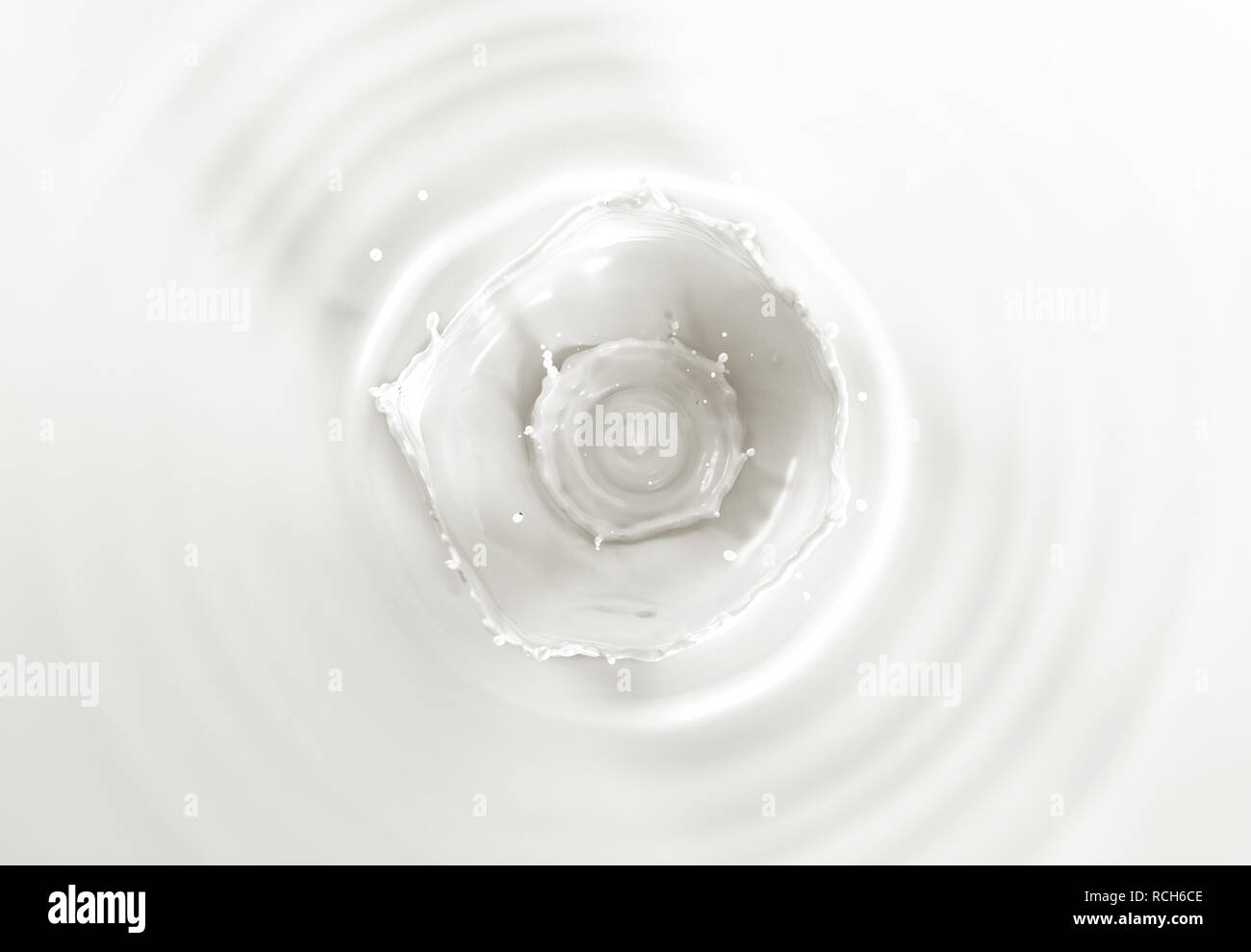 Milk double crown splash, splashing in milk pool with ripples. Viewed ...