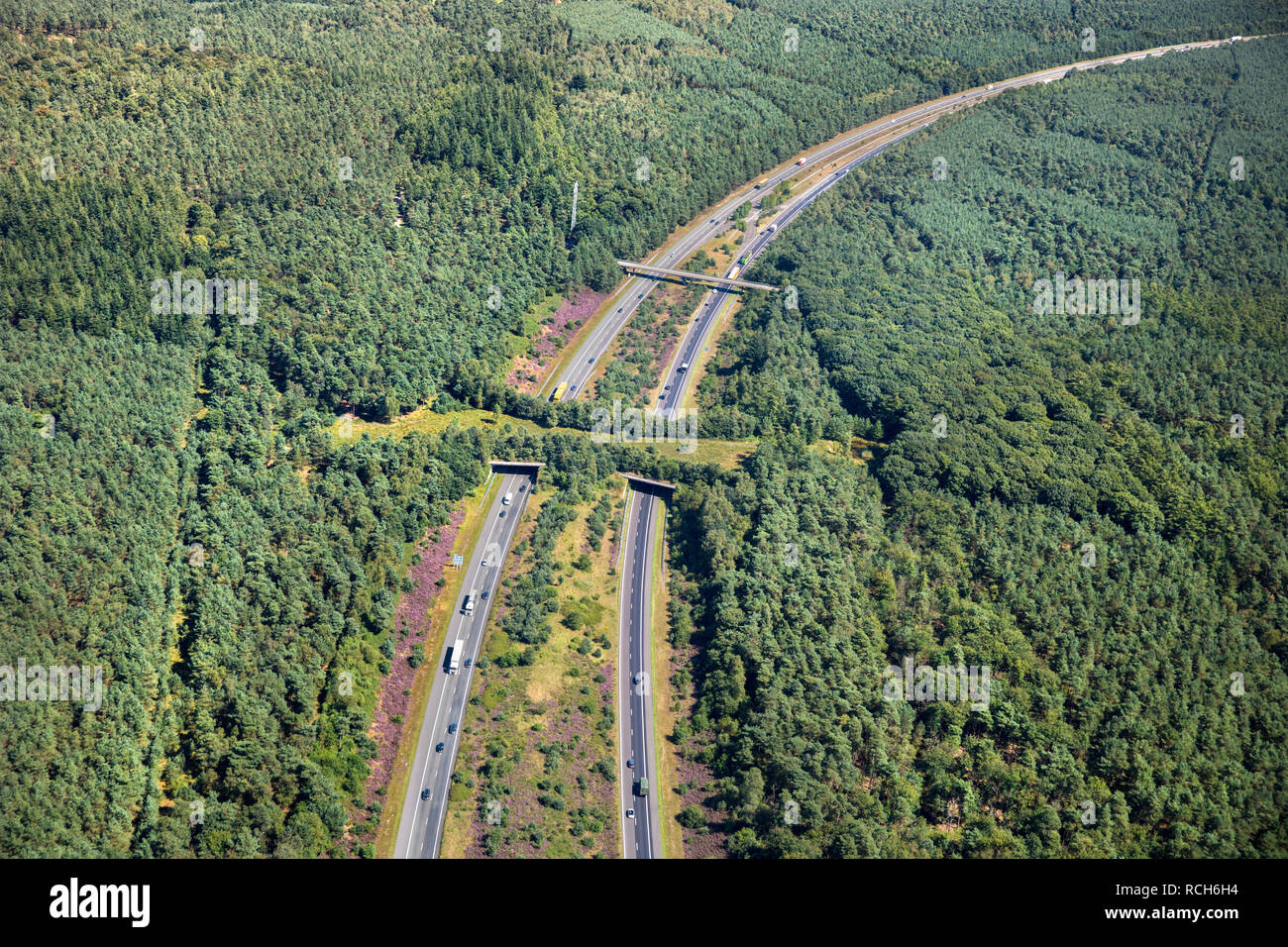 The Netherlands, Kootwijk. Motorway and eco crossover for fauna ...