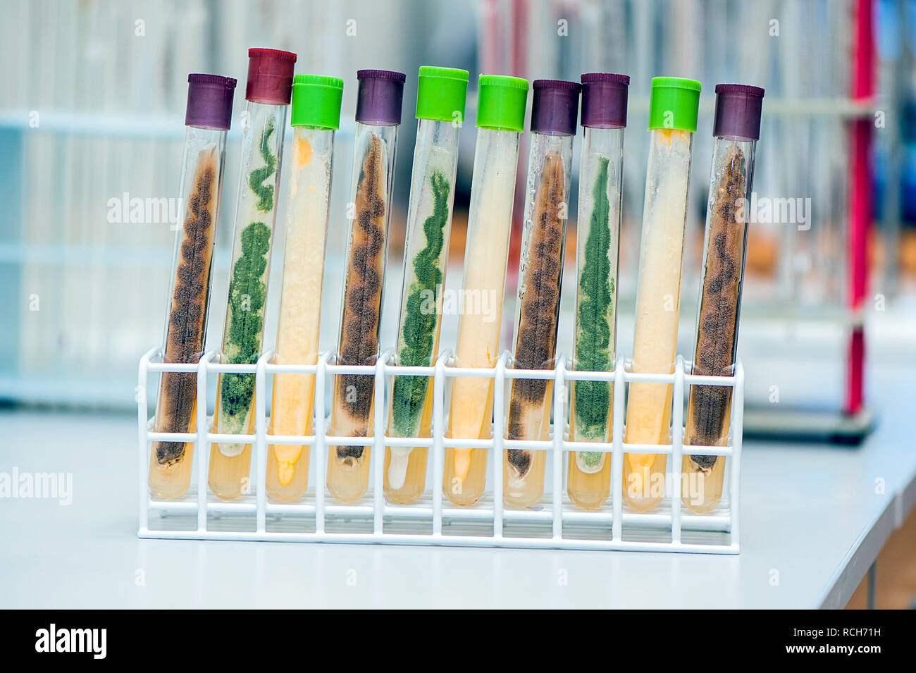 Slant Rack Microbiology