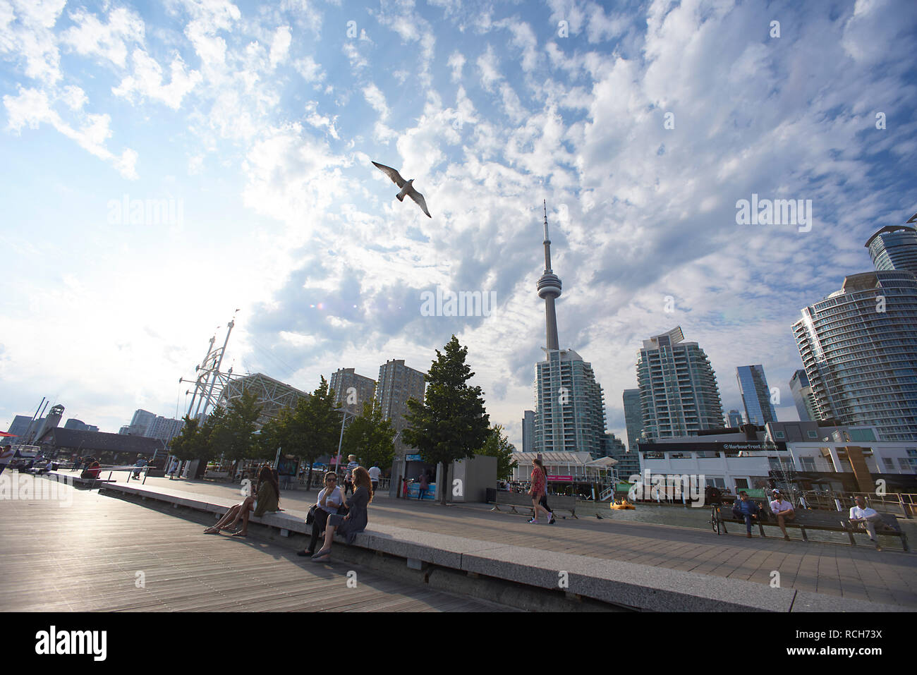 Amazing landscape of the skyline of Toronto in Canada with its high ...