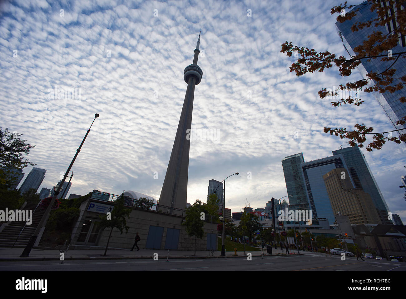 Low angle shot of the amazing CN Tower in the city centre of Toronto ...