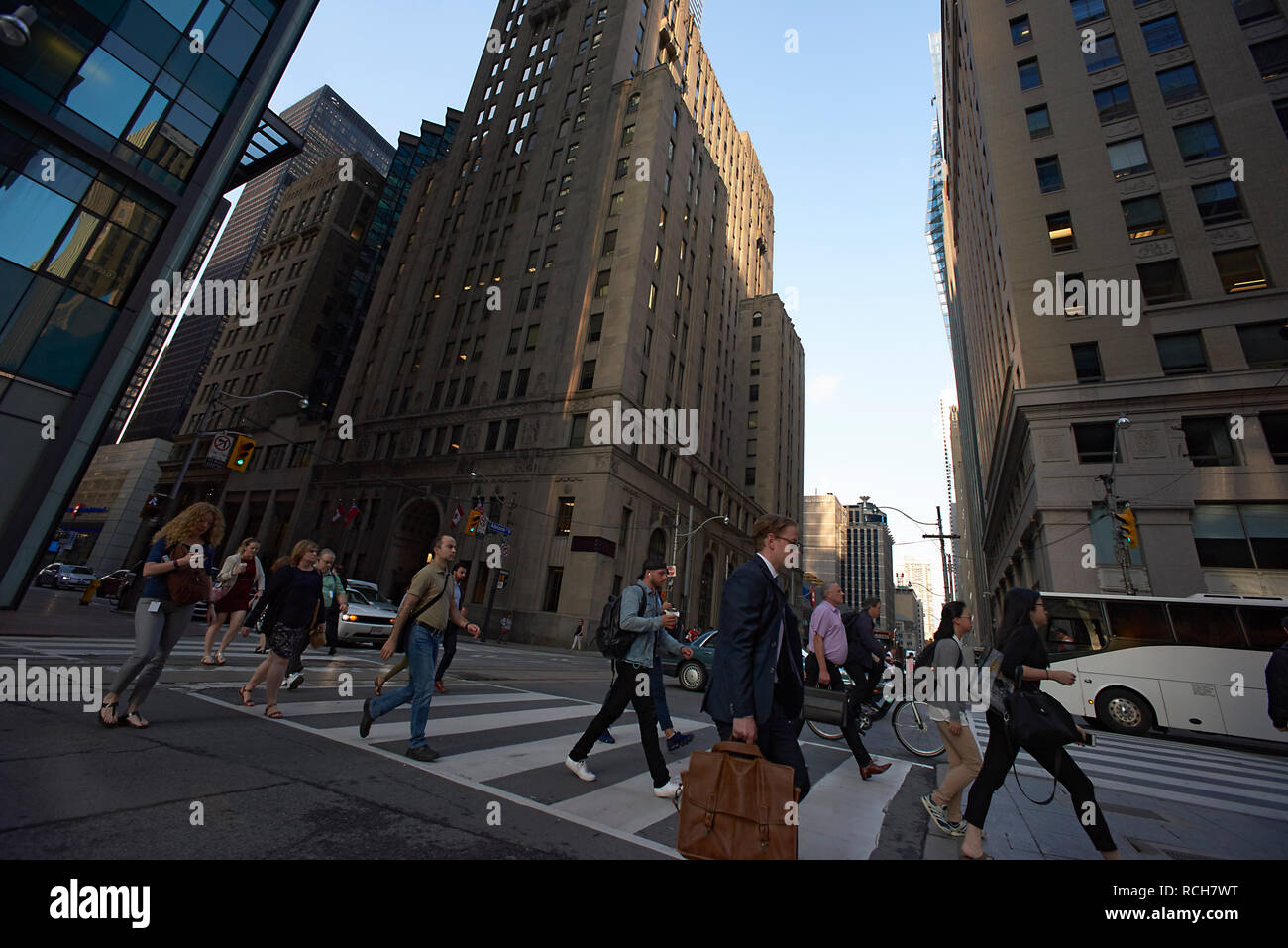 Early morning commuters on the streets of Toronto in summer sunshine ...