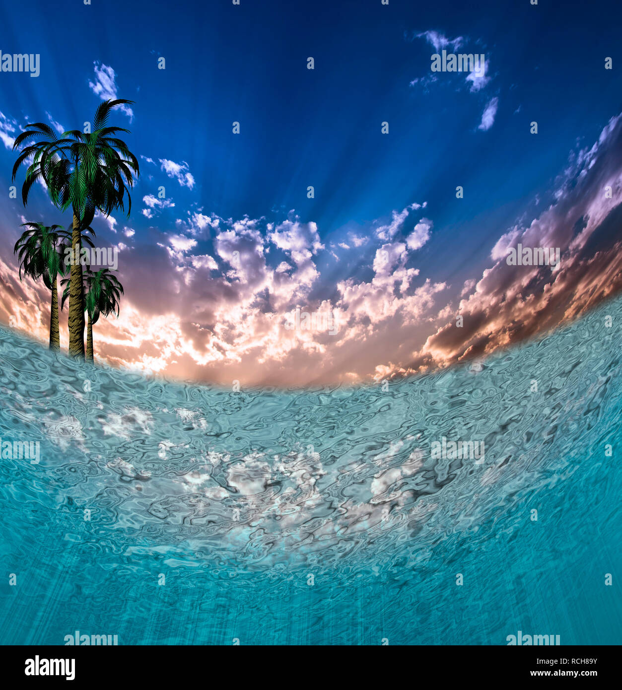 Tropical Waters. Underwater view. Green palm trees Stock Photo - Alamy