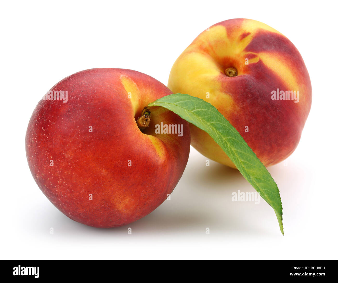 Nectarine peaches with leaf isolated on white background Stock Photo ...