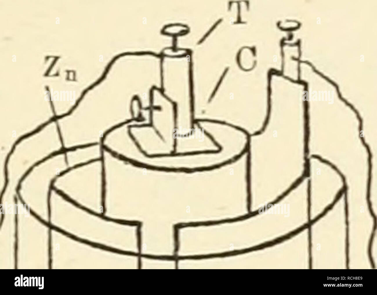 Groves cell hi-res stock photography and images - Alamy
