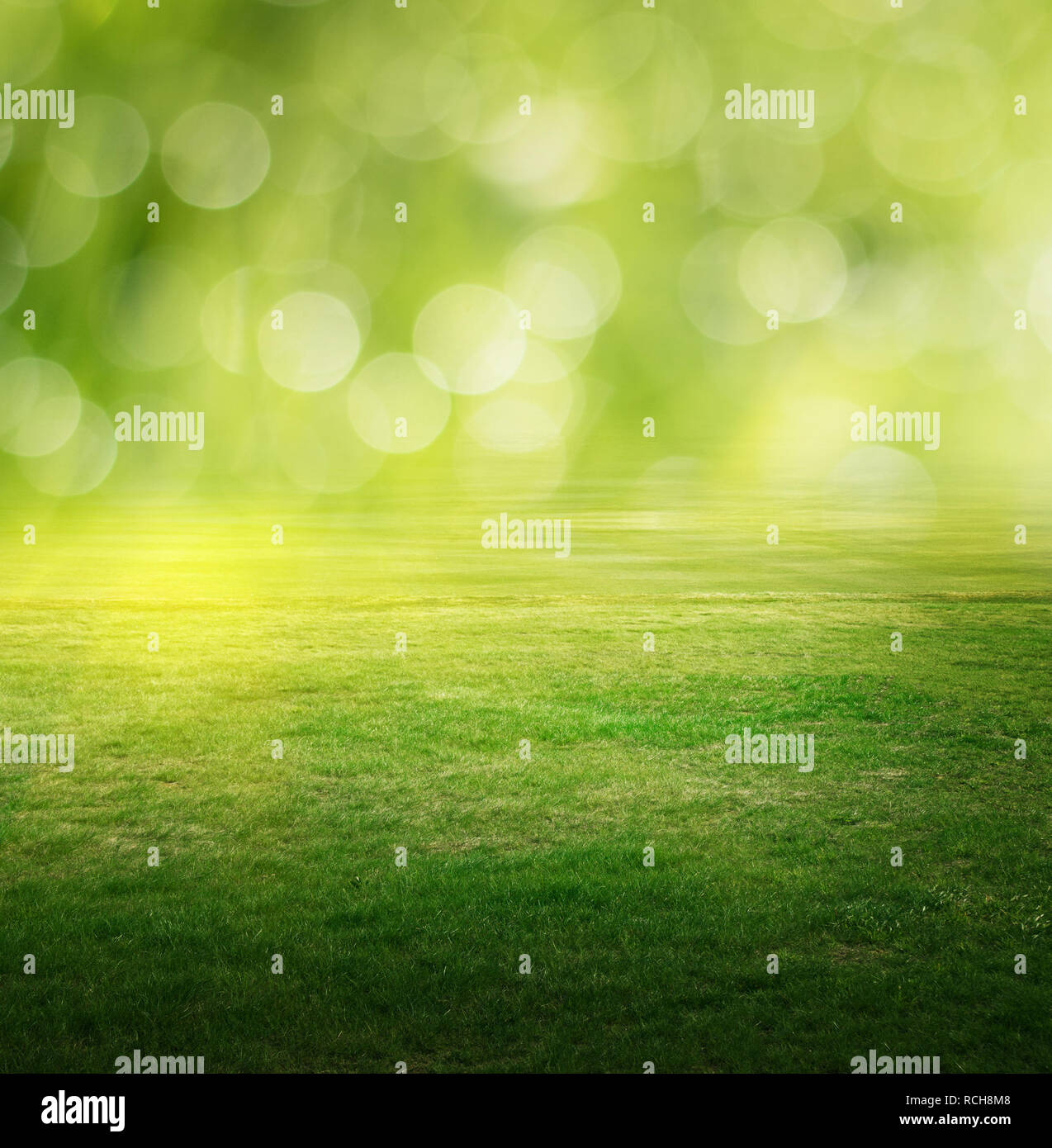 Summer field background Stock Photo - Alamy