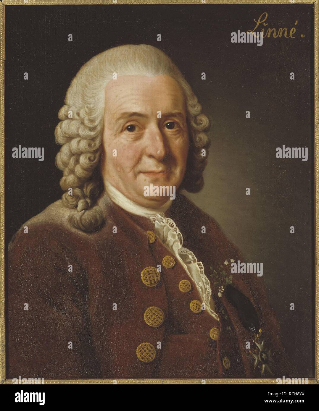 Portrait of Carl Linnaeus (1707-1778). Museum: Nationalmuseum Stockholm ...